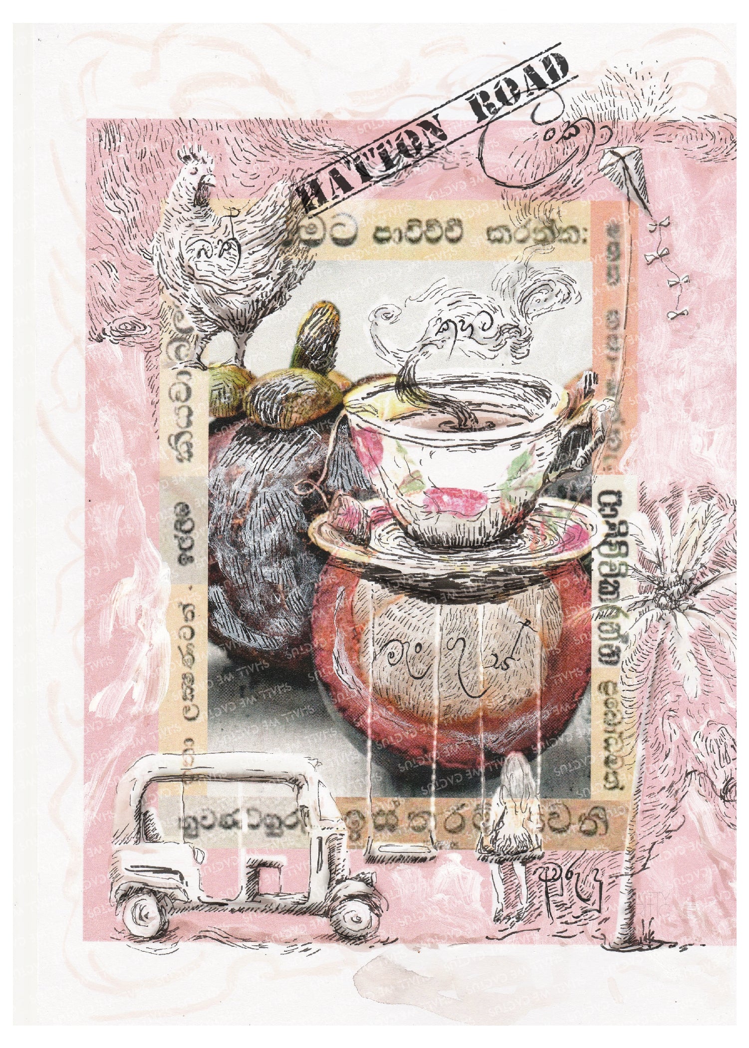 Hatton Road – shallwecactus